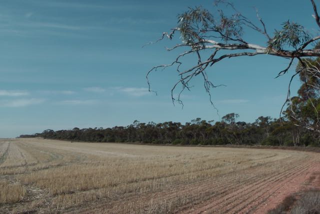 Clements Gap Conservation Park | VK5PAS