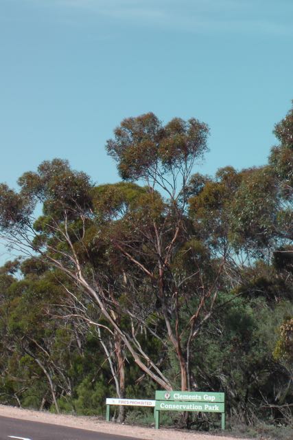 Clements Gap Conservation Park | VK5PAS