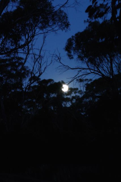 Clements Gap Conservation Park | VK5PAS