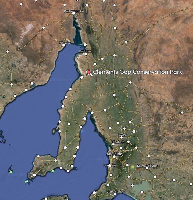 Clements Gap Conservation Park | VK5PAS