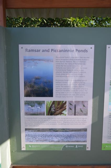 Piccaninnie Ponds Conservation Park | VK5PAS