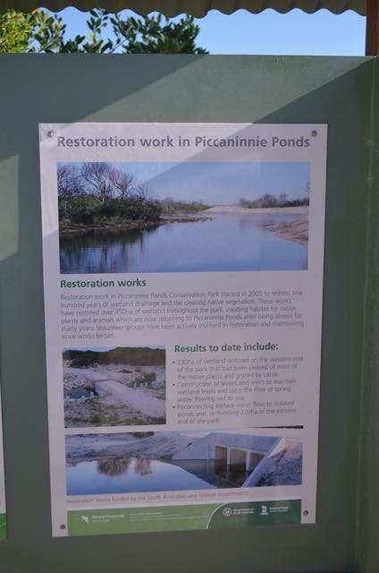 Piccaninnie Ponds Conservation Park | VK5PAS
