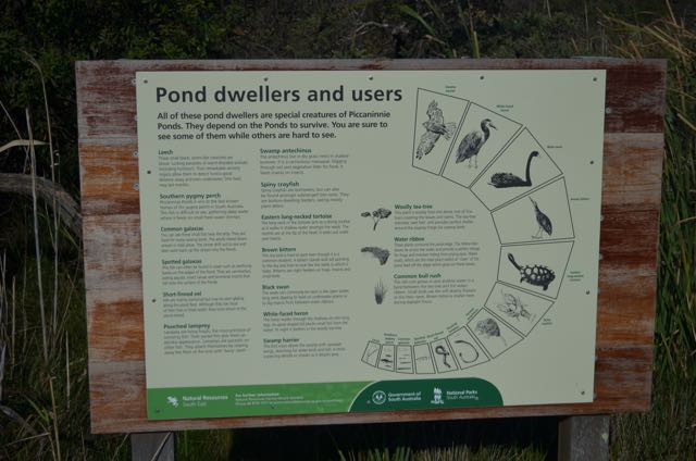 Piccaninnie Ponds Conservation Park | VK5PAS