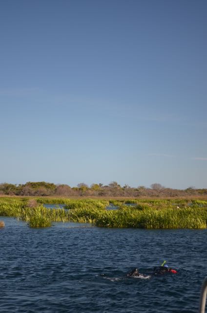 Piccaninnie Ponds Conservation Park | VK5PAS
