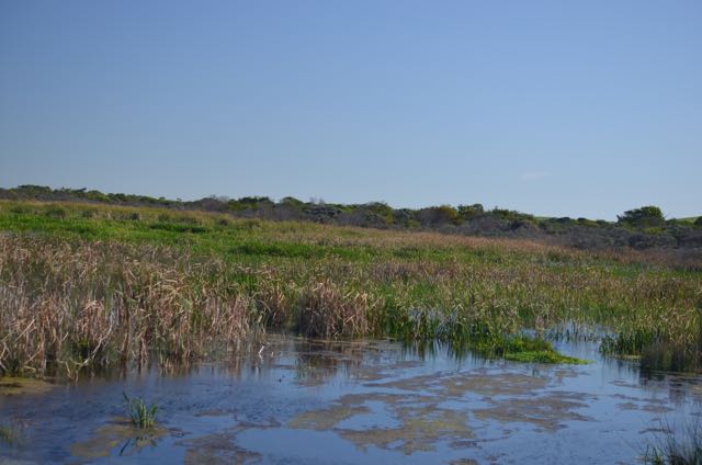 Piccaninnie Ponds Conservation Park | VK5PAS