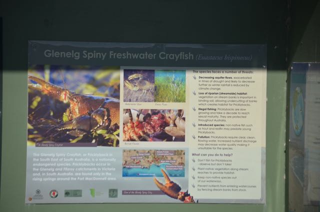 Piccaninnie Ponds Conservation Park | VK5PAS