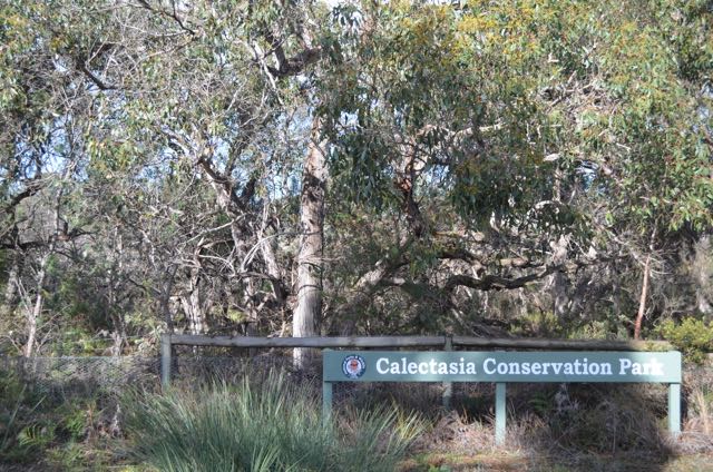 Calectasia Conservation Park | VK5PAS