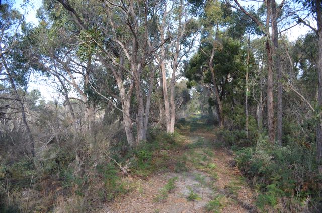 Calectasia Conservation Park | VK5PAS