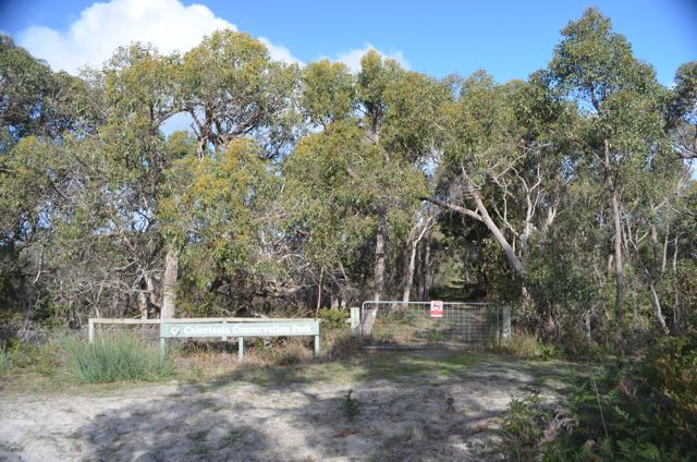 Calectasia Conservation Park | VK5PAS