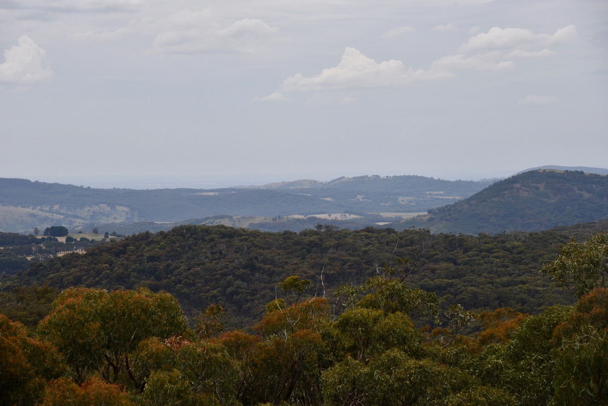 Mount Wombat-Garden Range Flora and Fauna Reserve VKFF-2403 and Mount ...