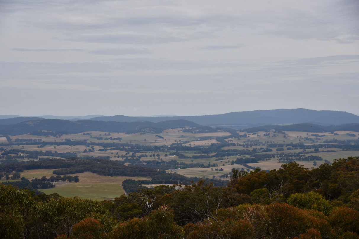 Mount Wombat-Garden Range Flora and Fauna Reserve VKFF-2403 and Mount ...