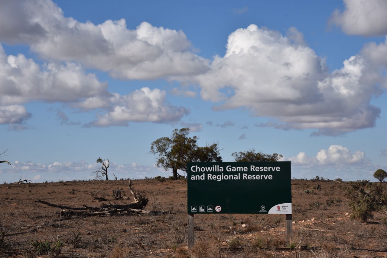 Chowilla Regional Reserve VKFF-1698 | VK5PAS