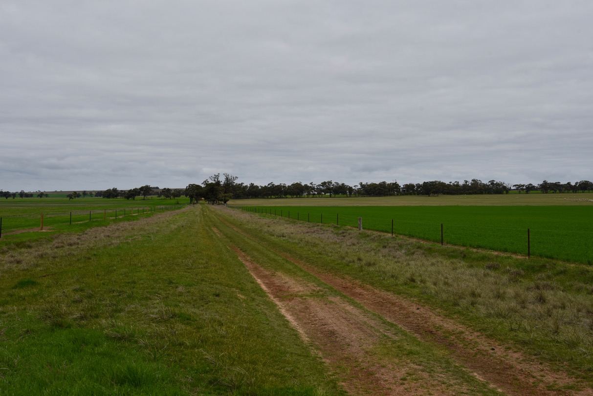Red Gum Swamp (Yanac) Wildlife Reserve VKFF-2427 | VK5PAS